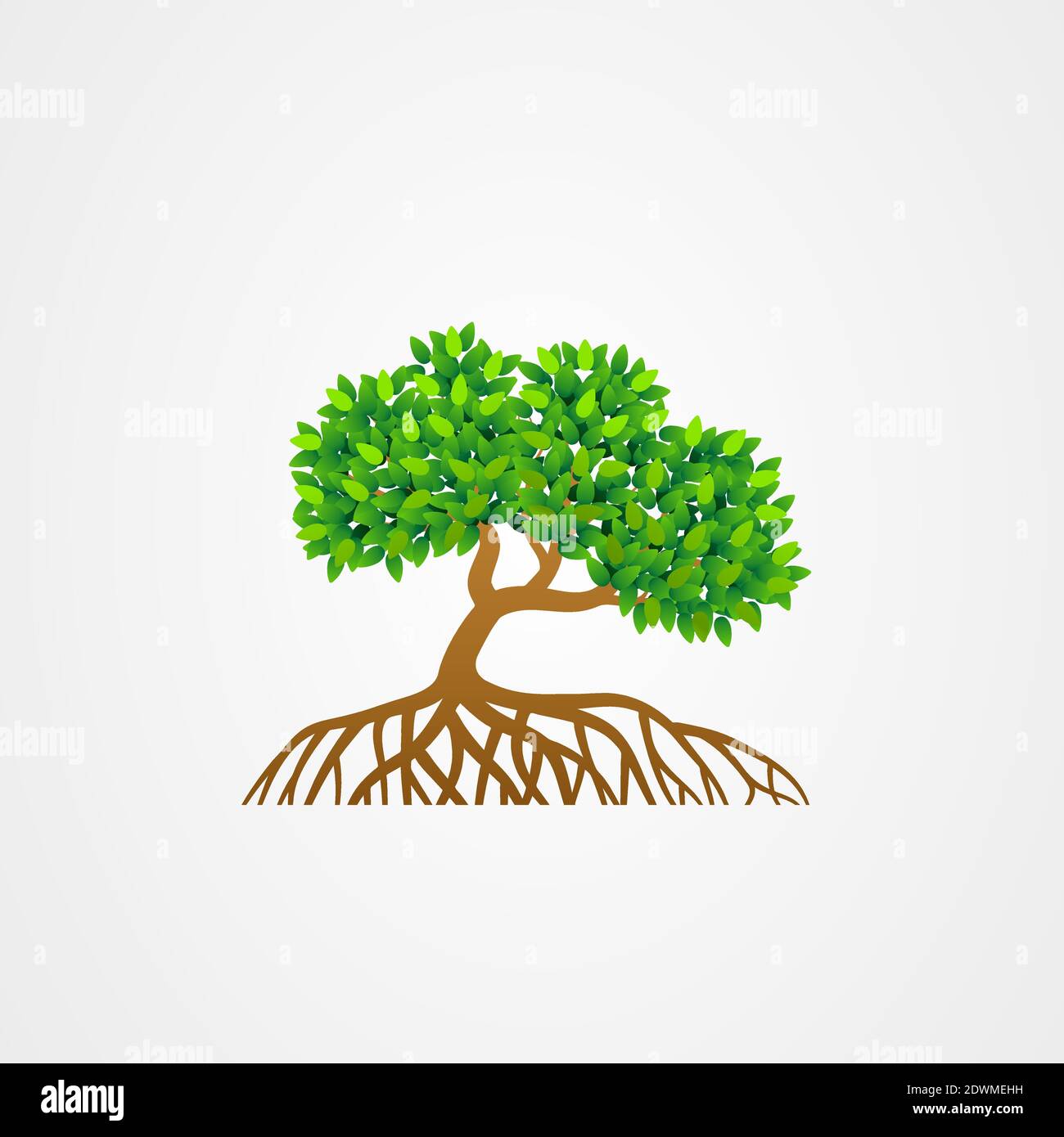 Forest mangrove tree Stock Vector Images - Alamy