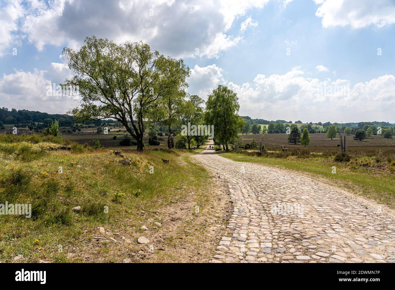 beautiful hillside landscape in the nature preservation area of the ...