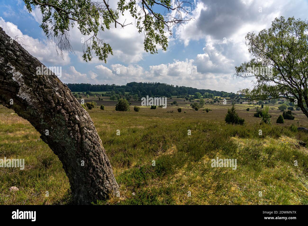 Heide land hi-res stock photography and images - Alamy