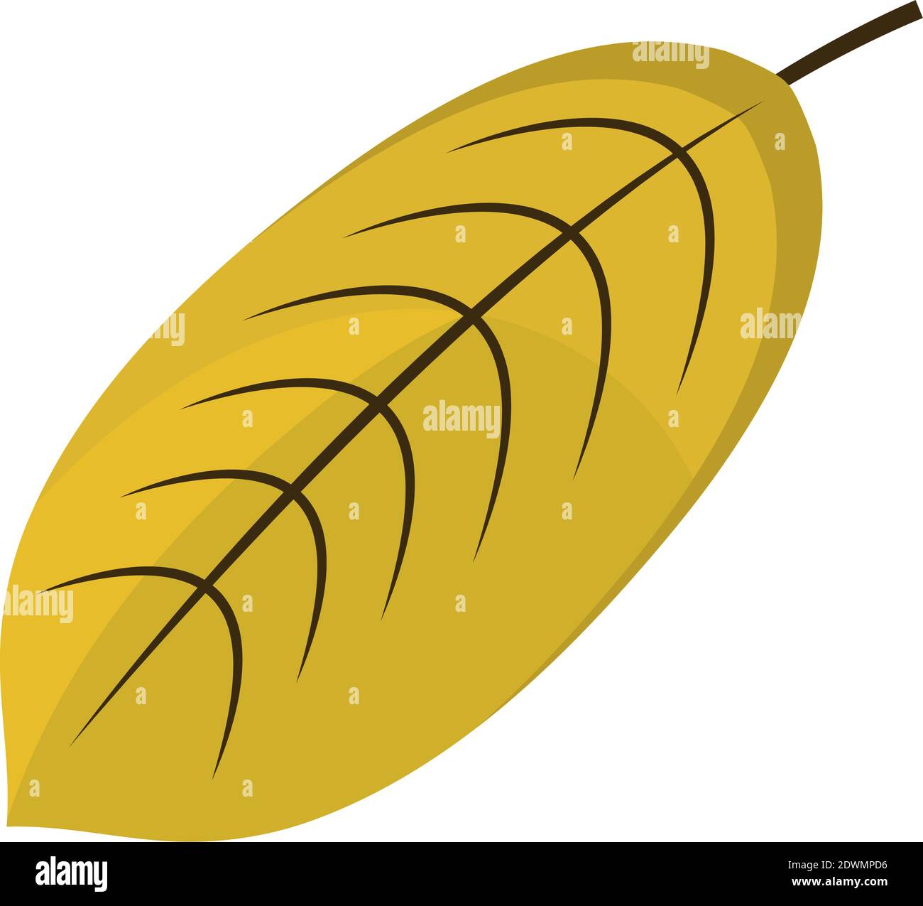 Elliptical leaf hi-res stock photography and images - Alamy