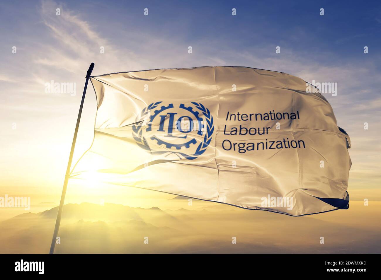 International Labour Organisation Flag