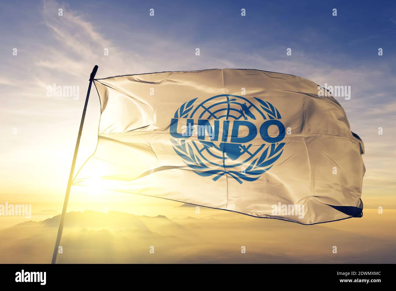 United Nations Industrial Development Organization UNIDO flag waving on ...