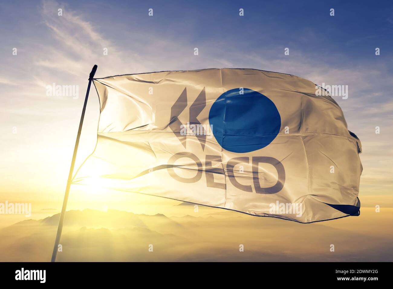 Organisation for Economic Co-operation and Development OECD flag waving ...
