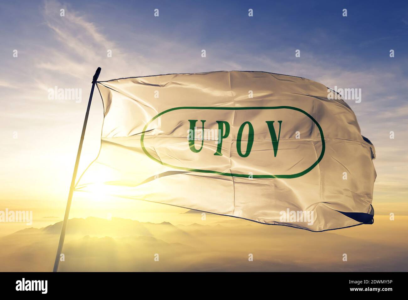 New varieties hi-res stock photography and images - Alamy