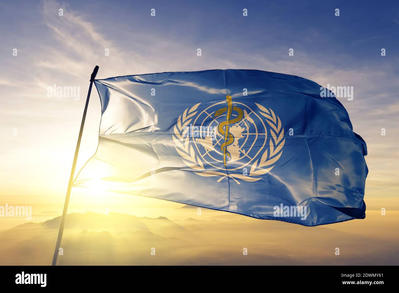World Health Organization WHO flag waving on the top Stock Photo - Alamy