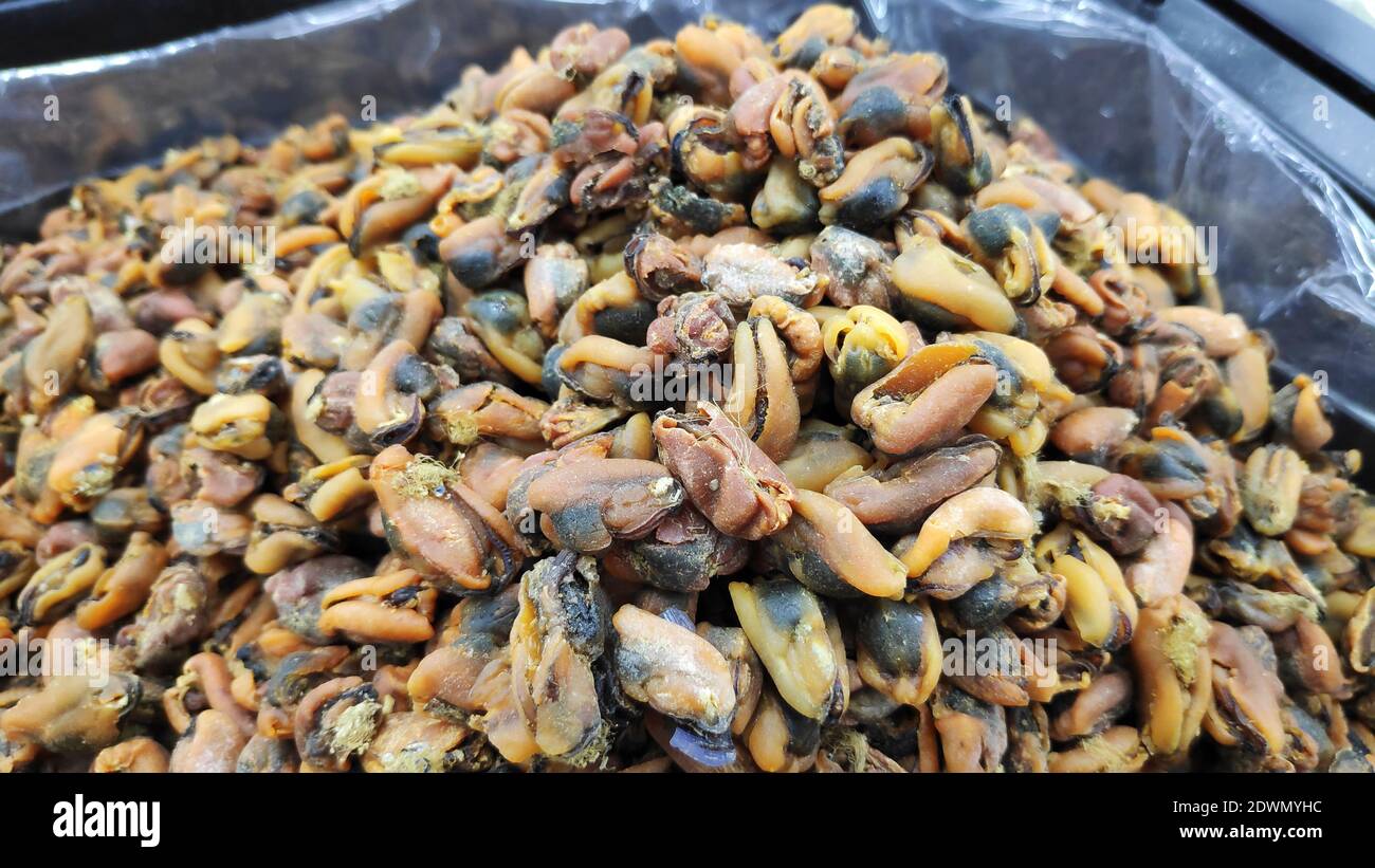 Large group of dried mussels display on market for sell Stock Photo - Alamy