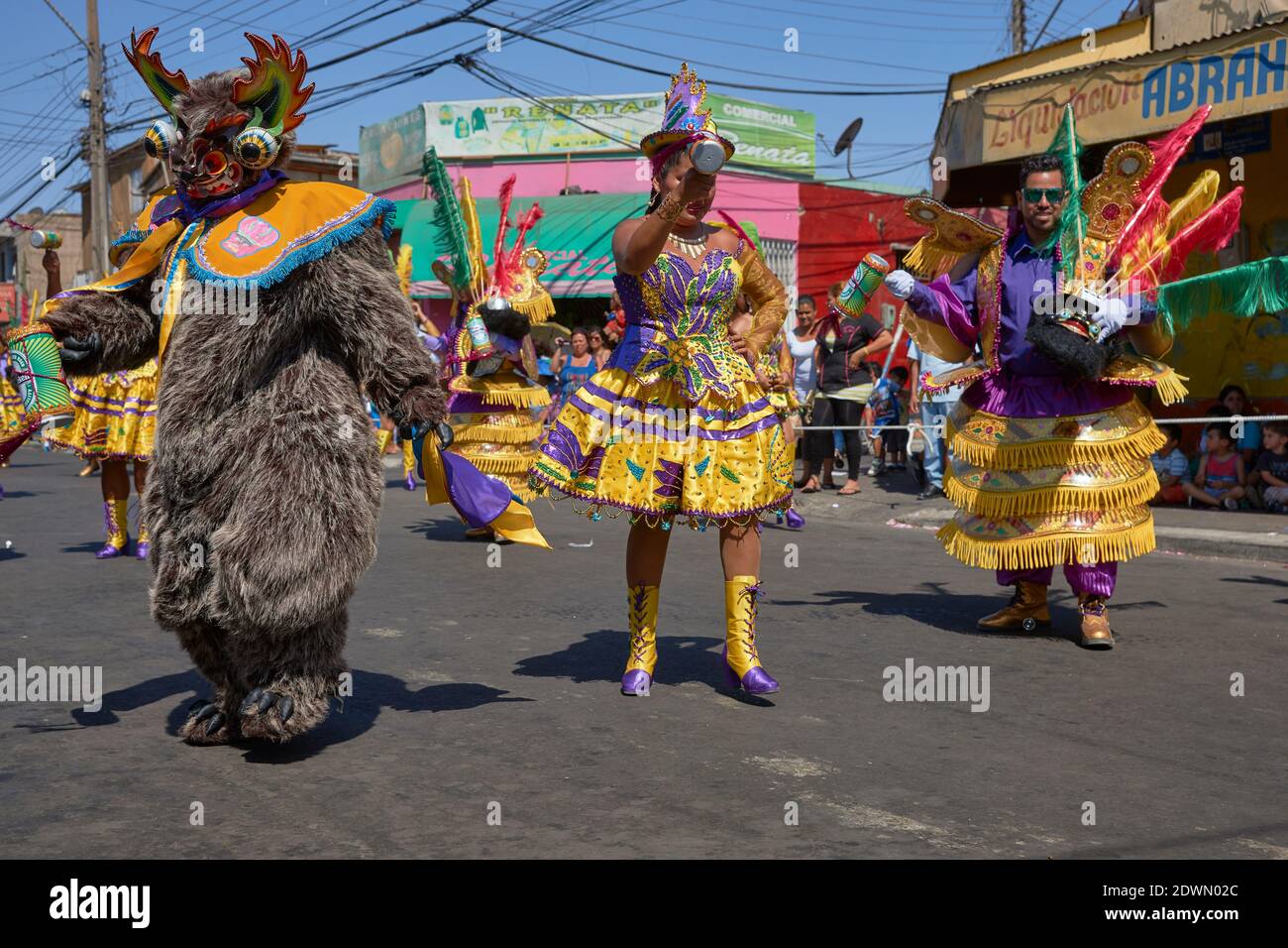 Morenada dance group performing a traditional ritual dance as part of ...