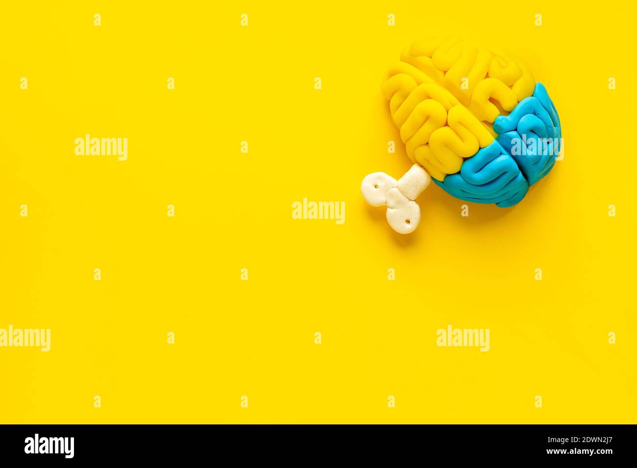 Brain charging and mental health concept. Model of human brain, top ...