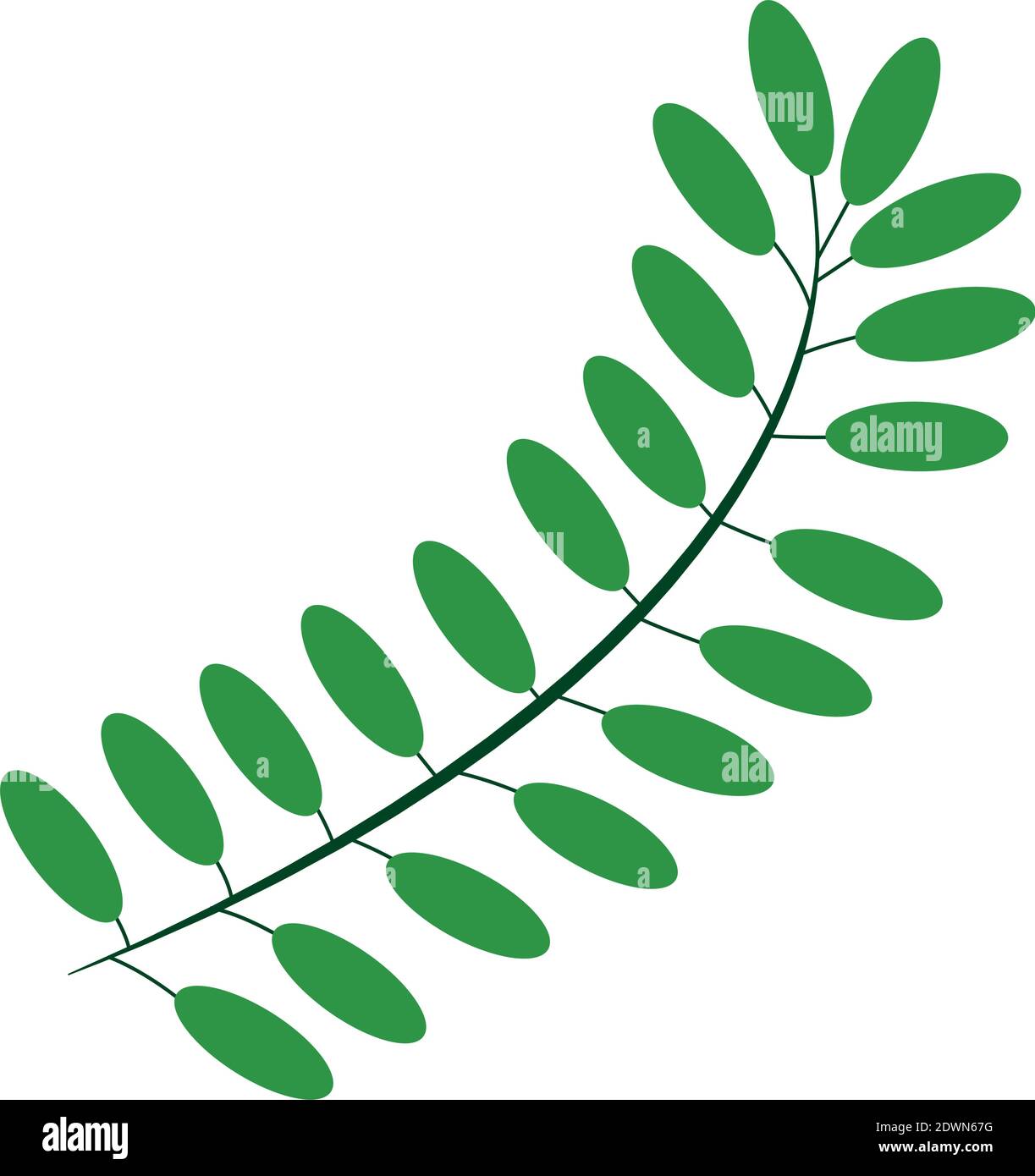 Simple pinnate Stock Vector Images - Alamy