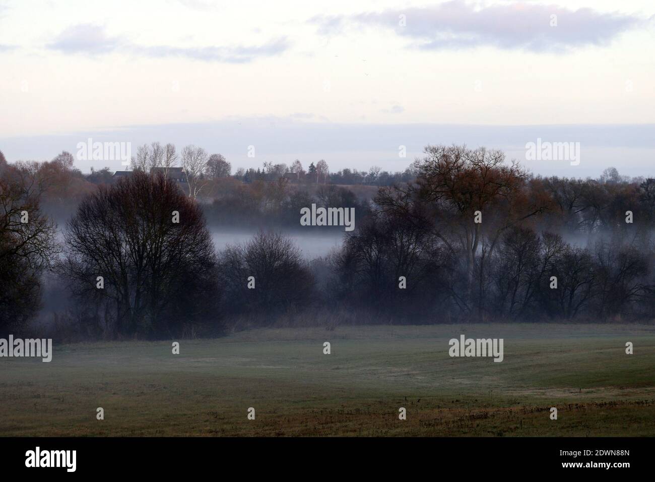 Autumn landscape in Lithuania in the early morning with meadows and fog ...