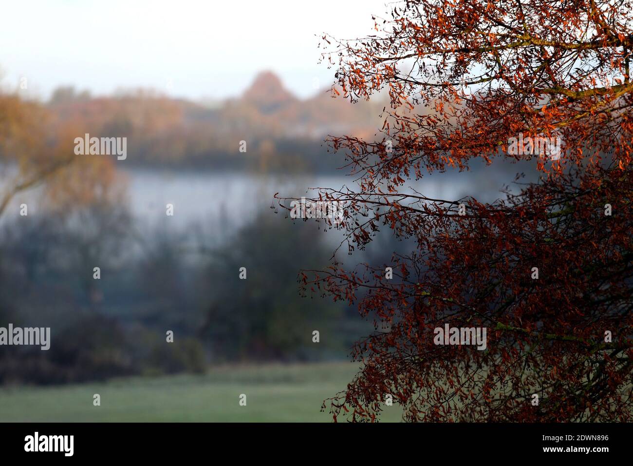 Autumn landscape in Lithuania in the early morning with meadows and fog ...