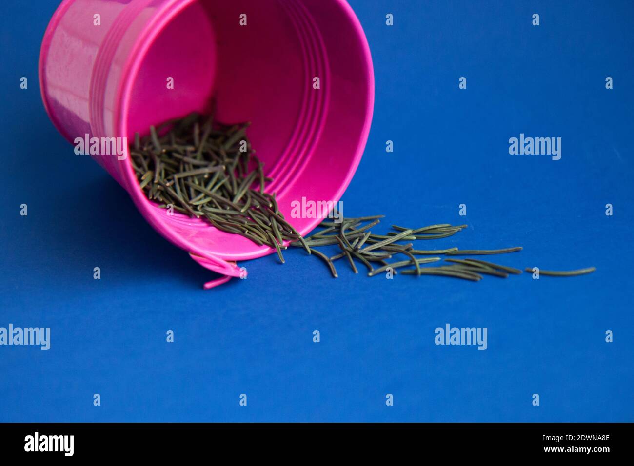 Spruce needles pour out of a pink decorative bucket on a bright blue ...
