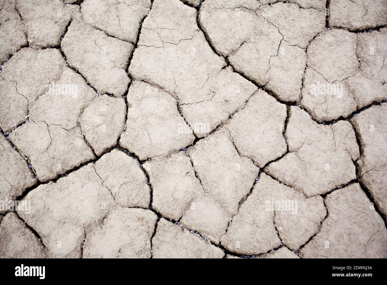 Dry, cracked dirt earth texture Stock Photo - Alamy