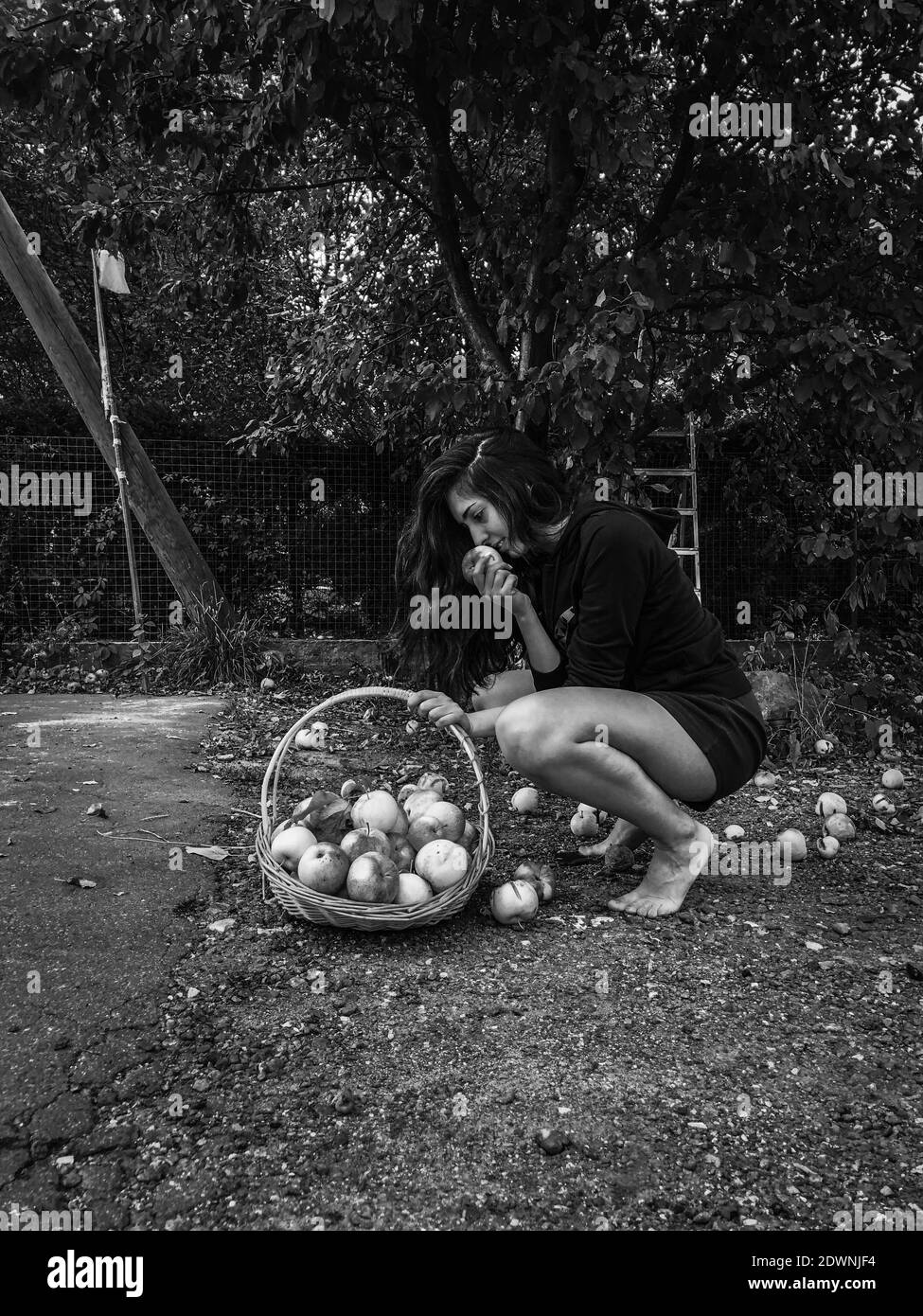 Full Of Fruits Black and White Stock Photos & Images - Alamy