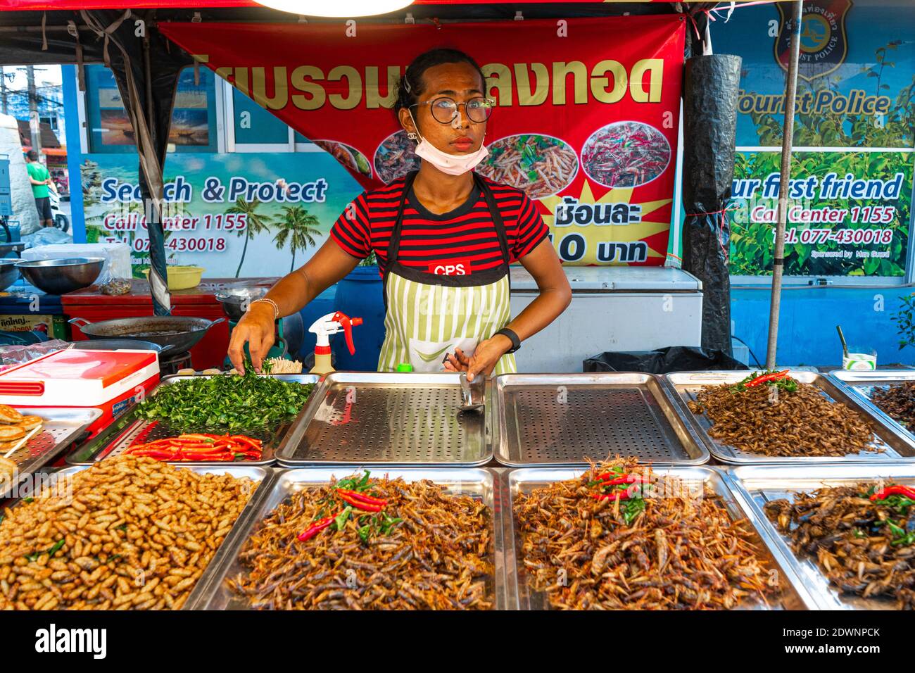 Asian food market. A counter with fried insects Stock Photo - Alamy