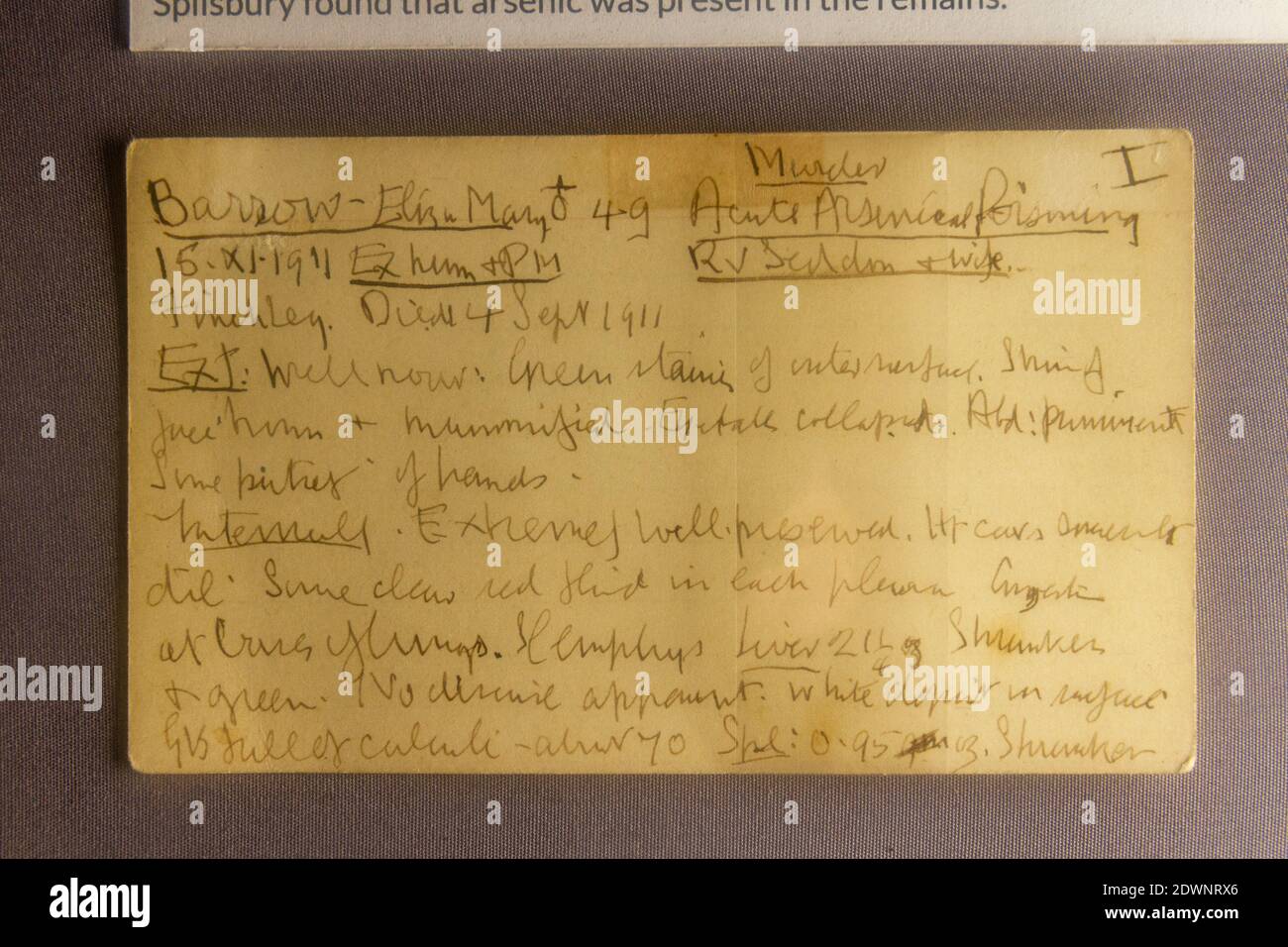 Pathology cards with notes made by Bernard Spilsbury, in the National ...