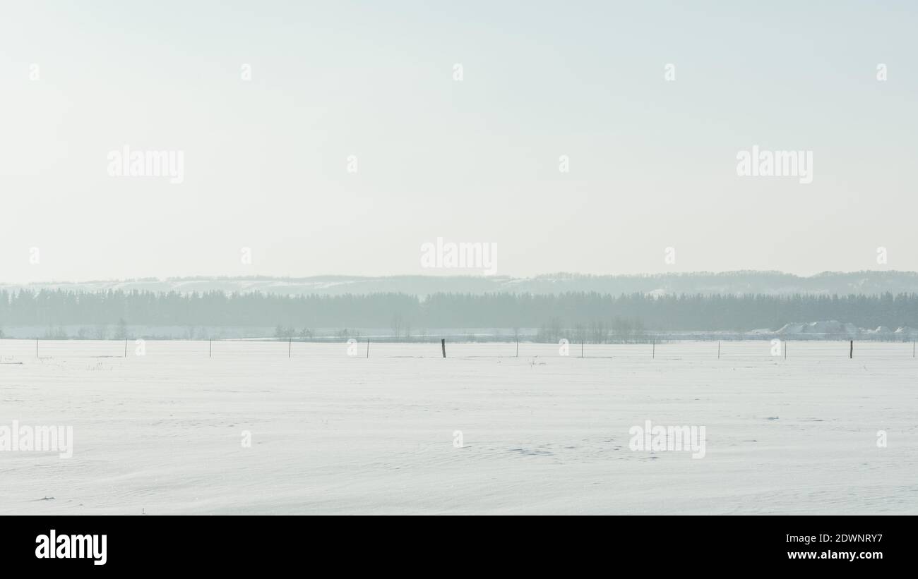 Winter landscape with field, trees and blue sky,long horizontal ...