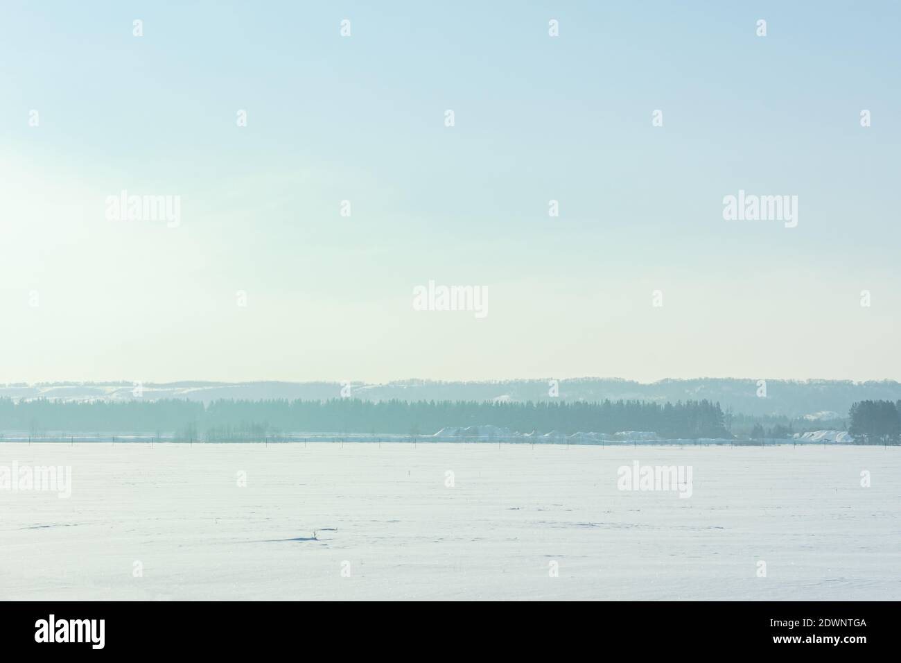 Winter landscape with field, trees and blue sky,long horizontal ...