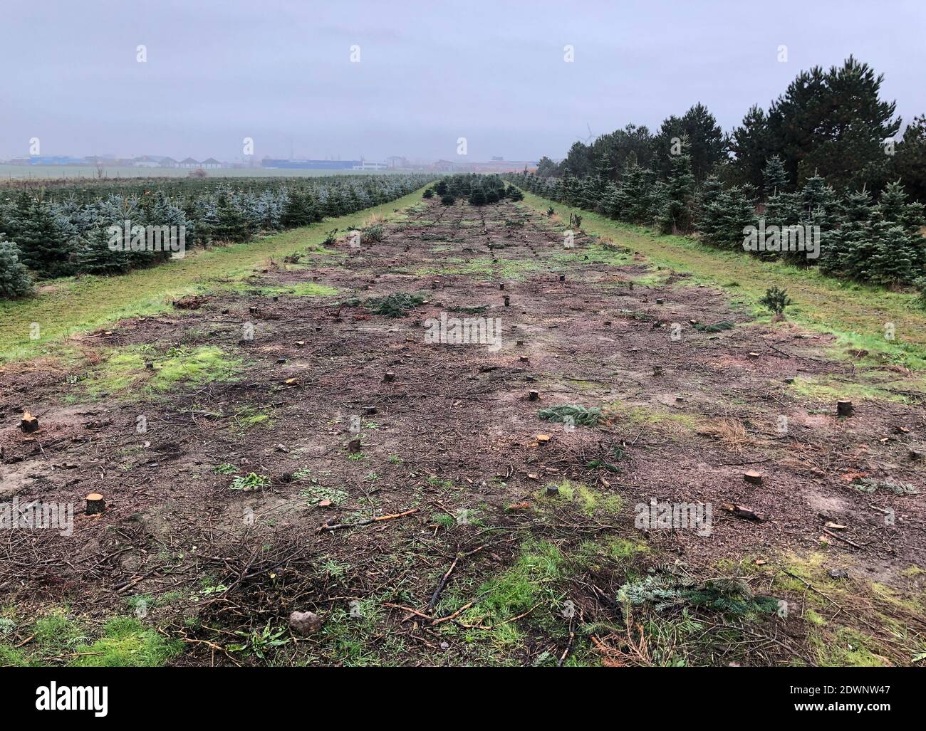 Leipzig plantation hi-res stock photography and images - Alamy