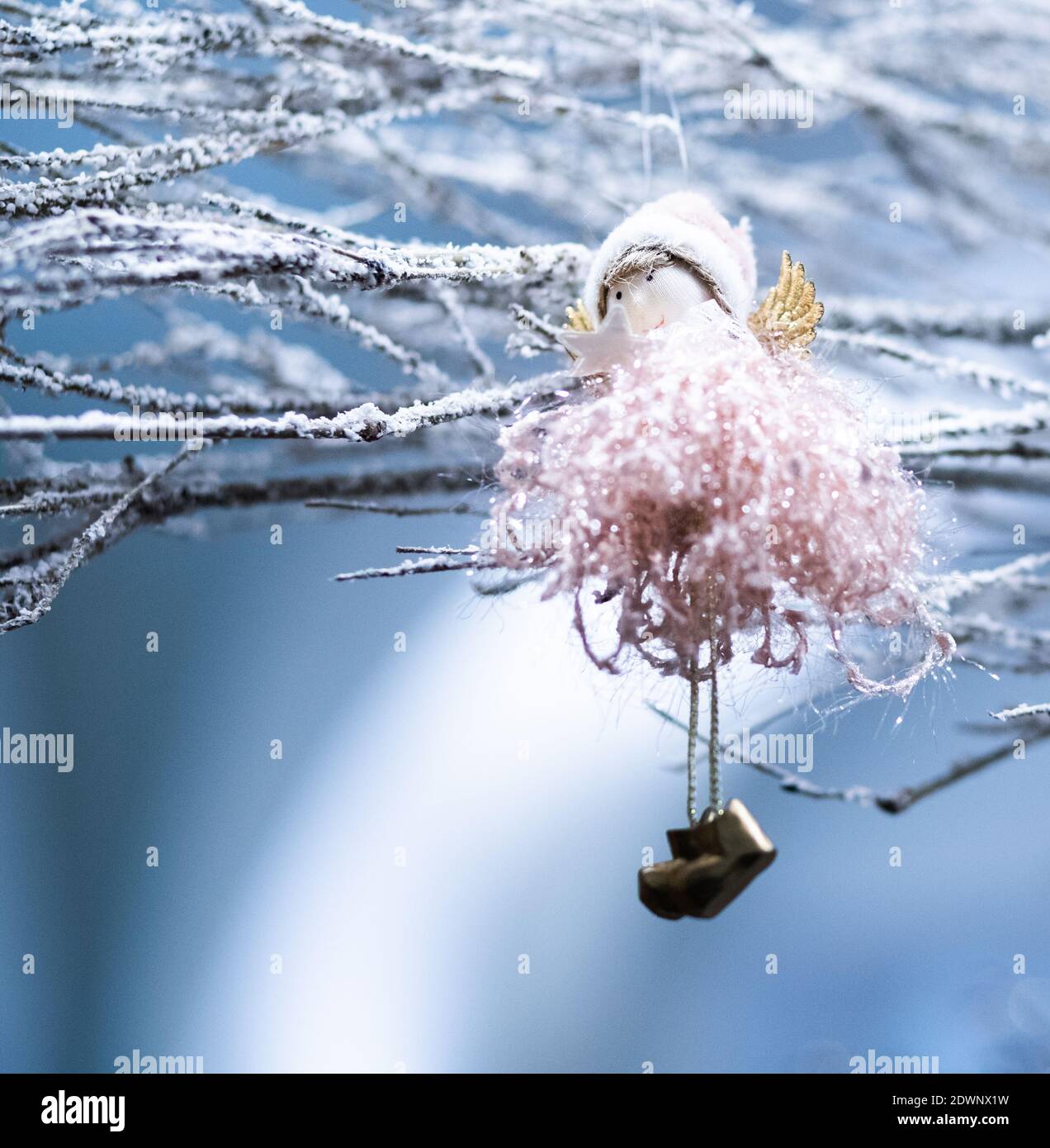 Angel on tree hi-res stock photography and images - Alamy