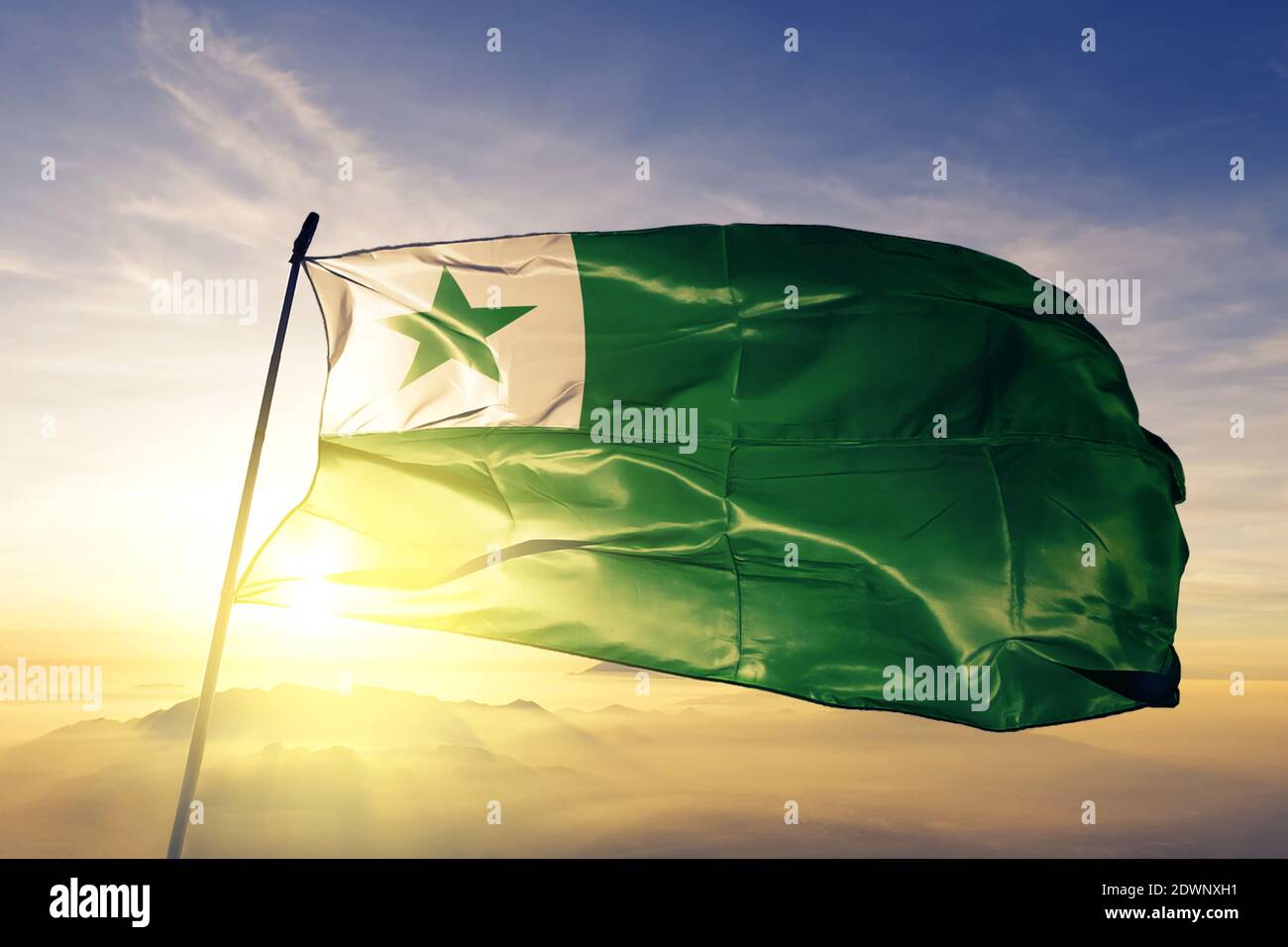Flag of esperanto hi-res stock photography and images - Alamy