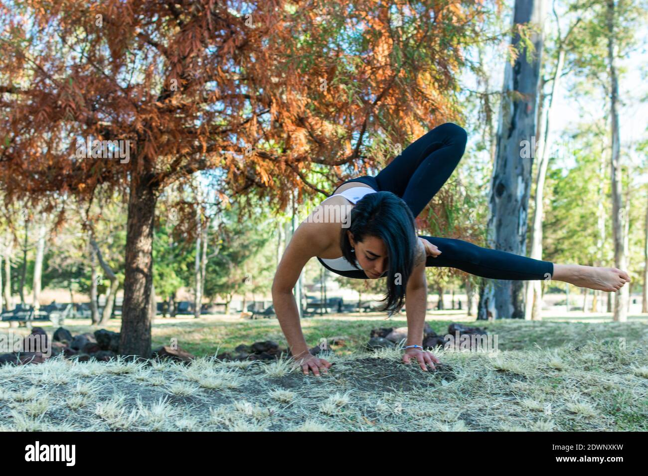 Model doing handstand, arm balance, Firefly posture, asana Tittibhasana ...
