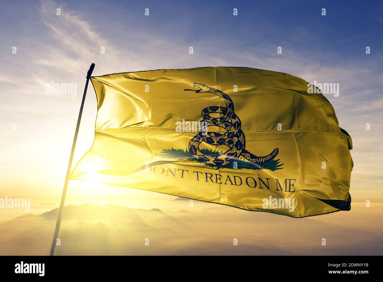 Gadsden flag hi-res stock photography and images - Alamy
