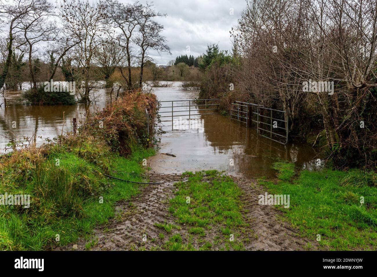 River ilen cork hi-res stock photography and images - Alamy