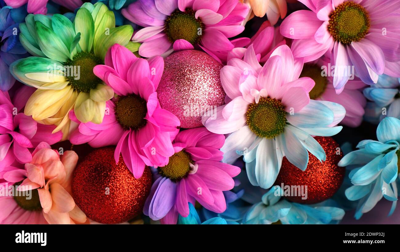 Rainbow Flower Wallpaper Desktop