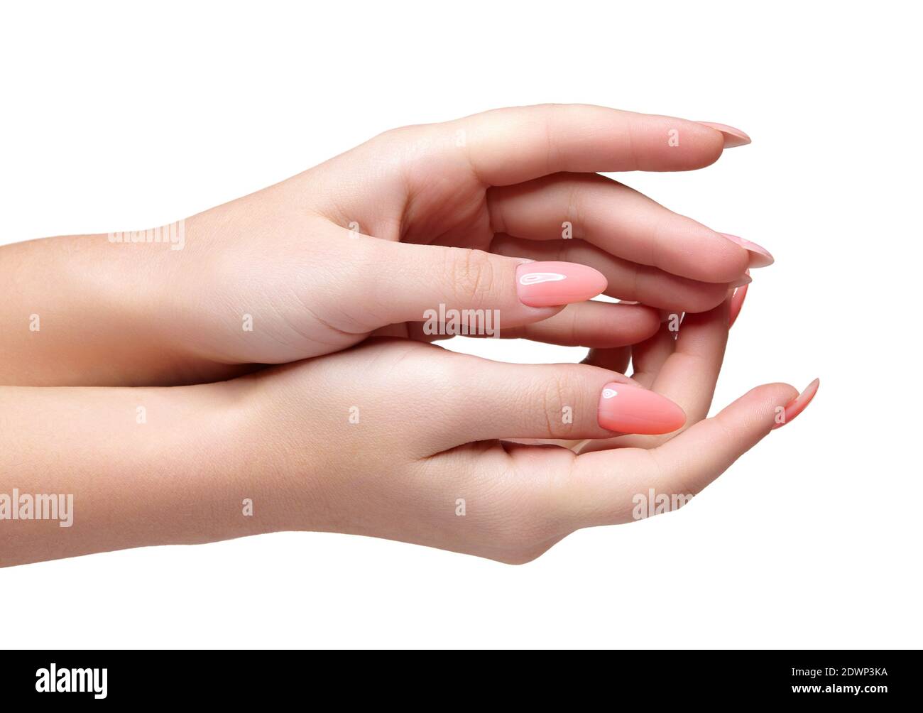 Female hands with woman's professional natural perfect nails manicure ...