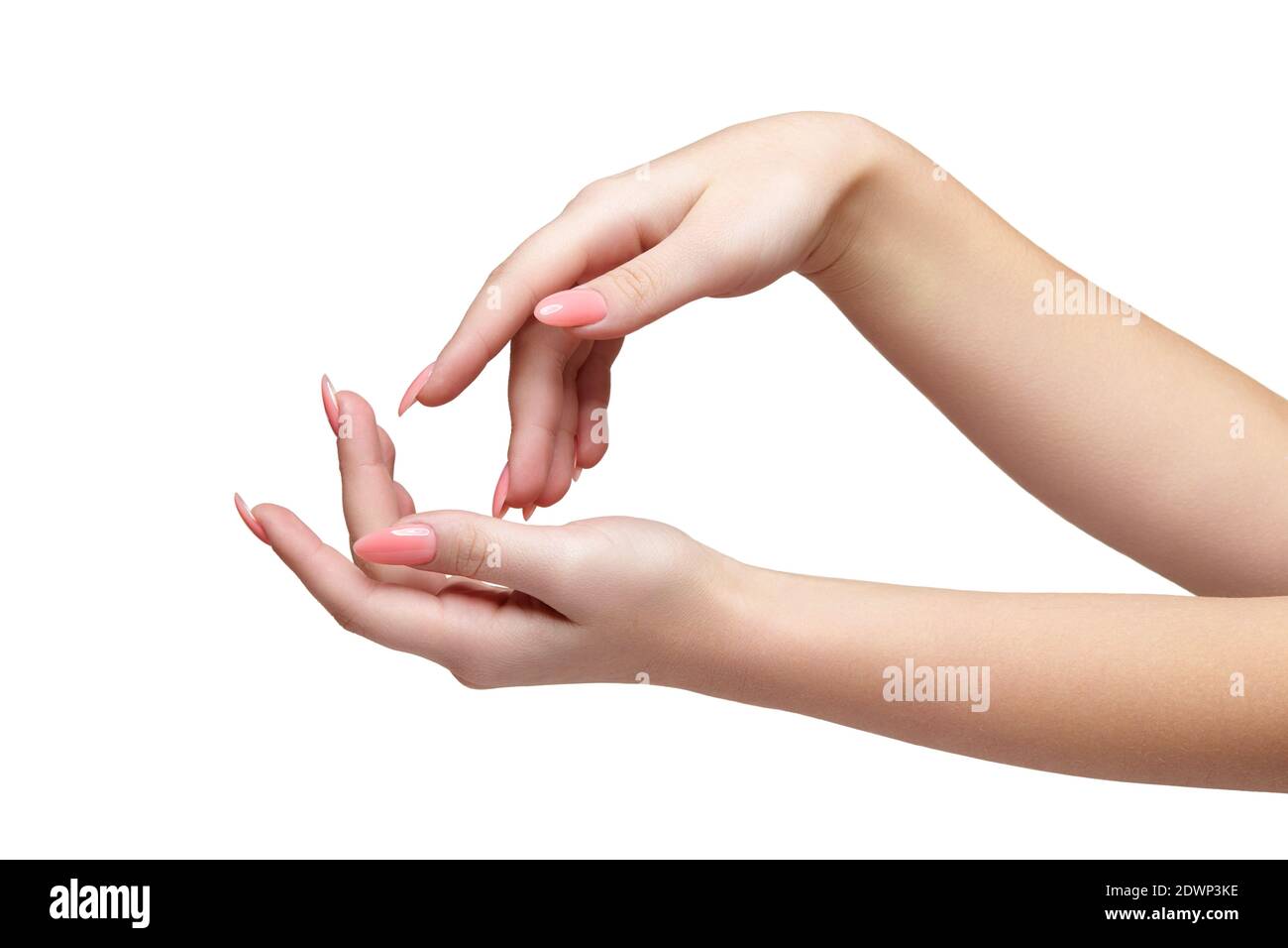 Female hands with woman's professional natural perfect nails manicure ...