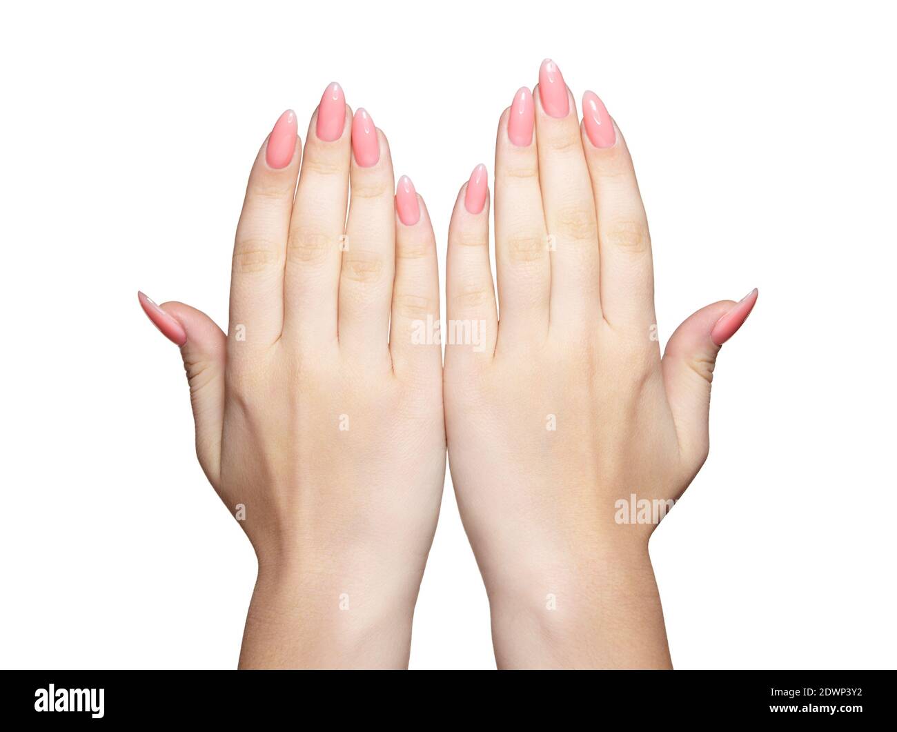 Female hands with woman's professional natural perfect nails manicure ...