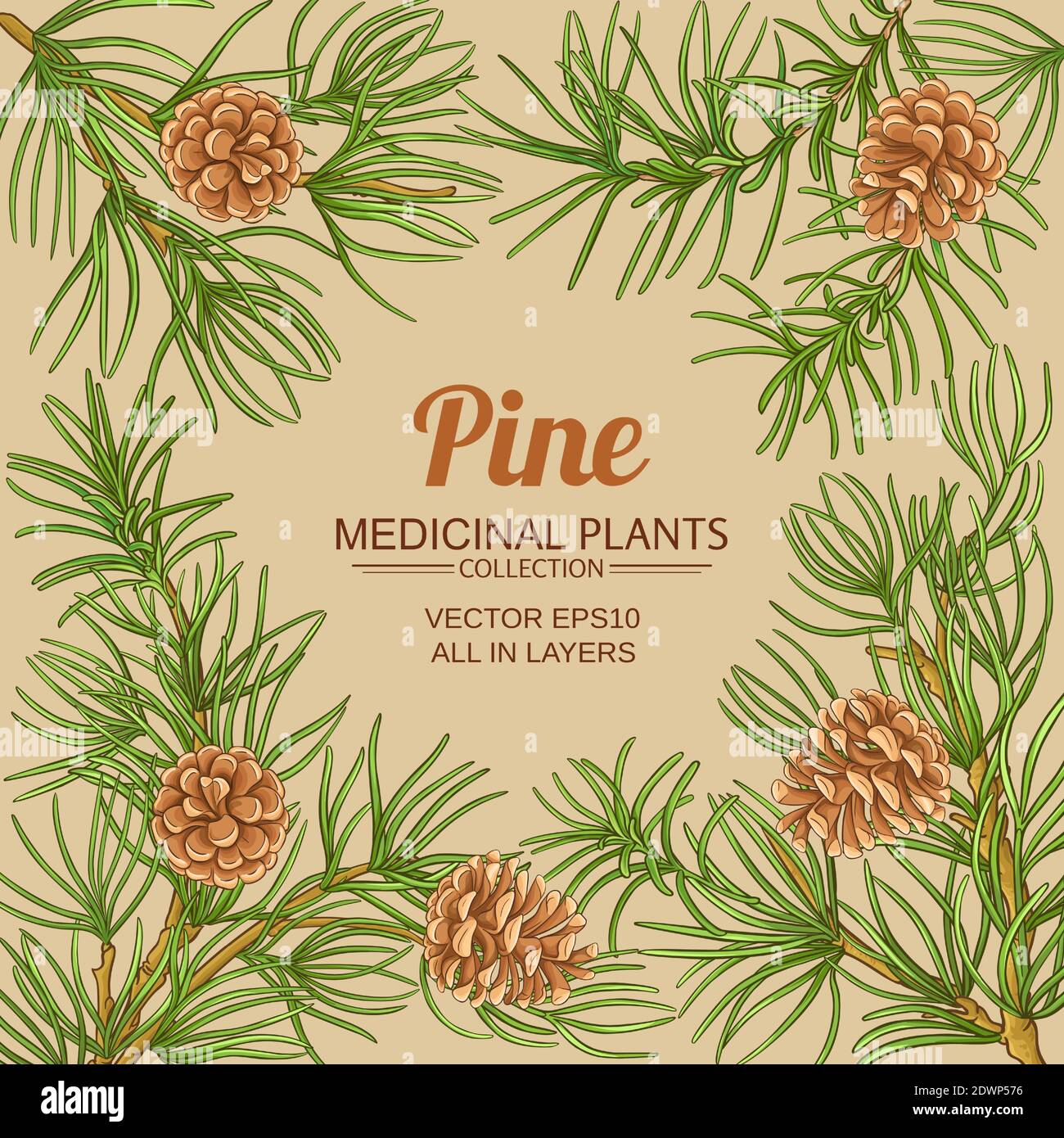 pine vector frame Stock Vector Image & Art - Alamy