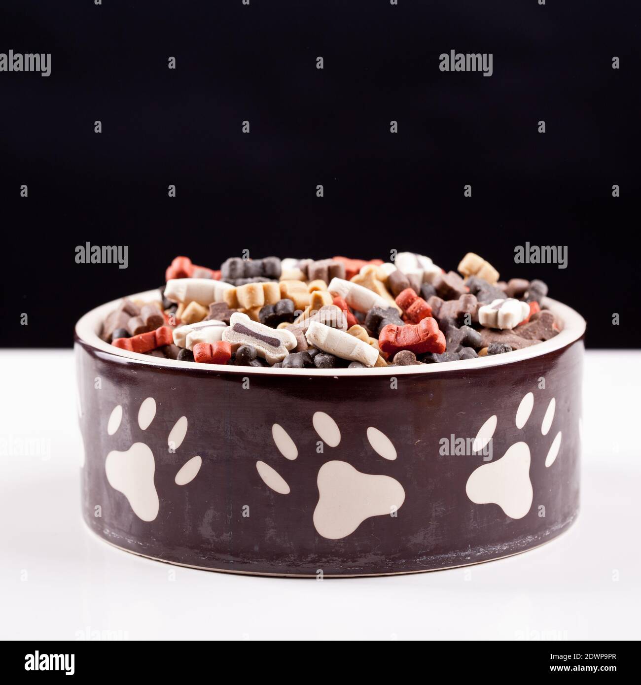Mean dog bowl hi-res stock photography and images - Alamy