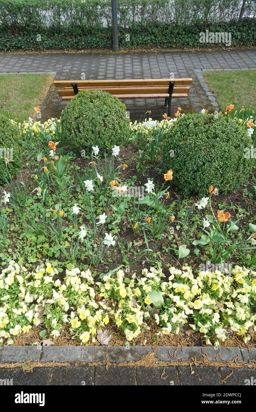 A ublic park for recreation seekers and as a green lung for big cities ...