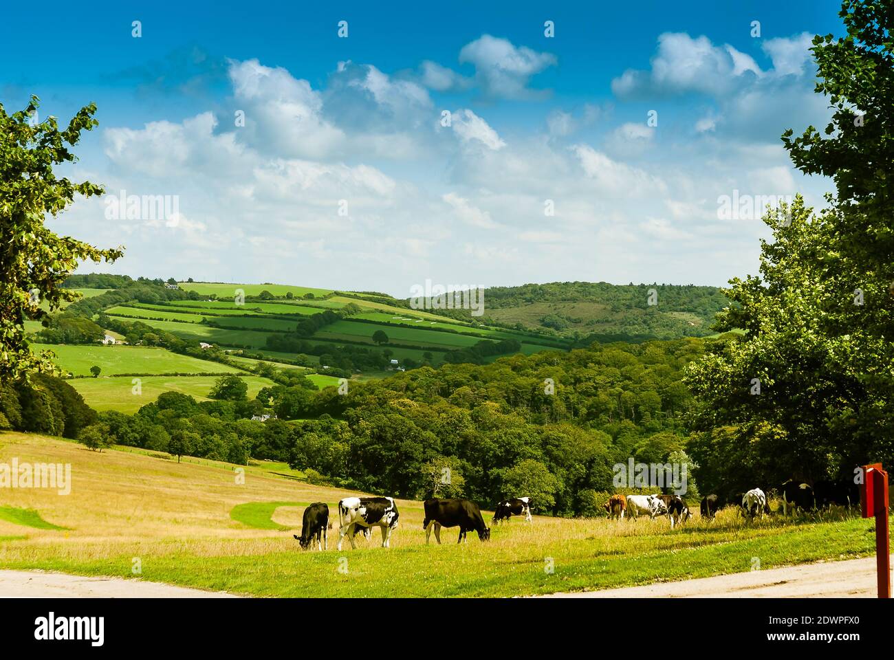 House cornwall countryside hi-res stock photography and images - Alamy
