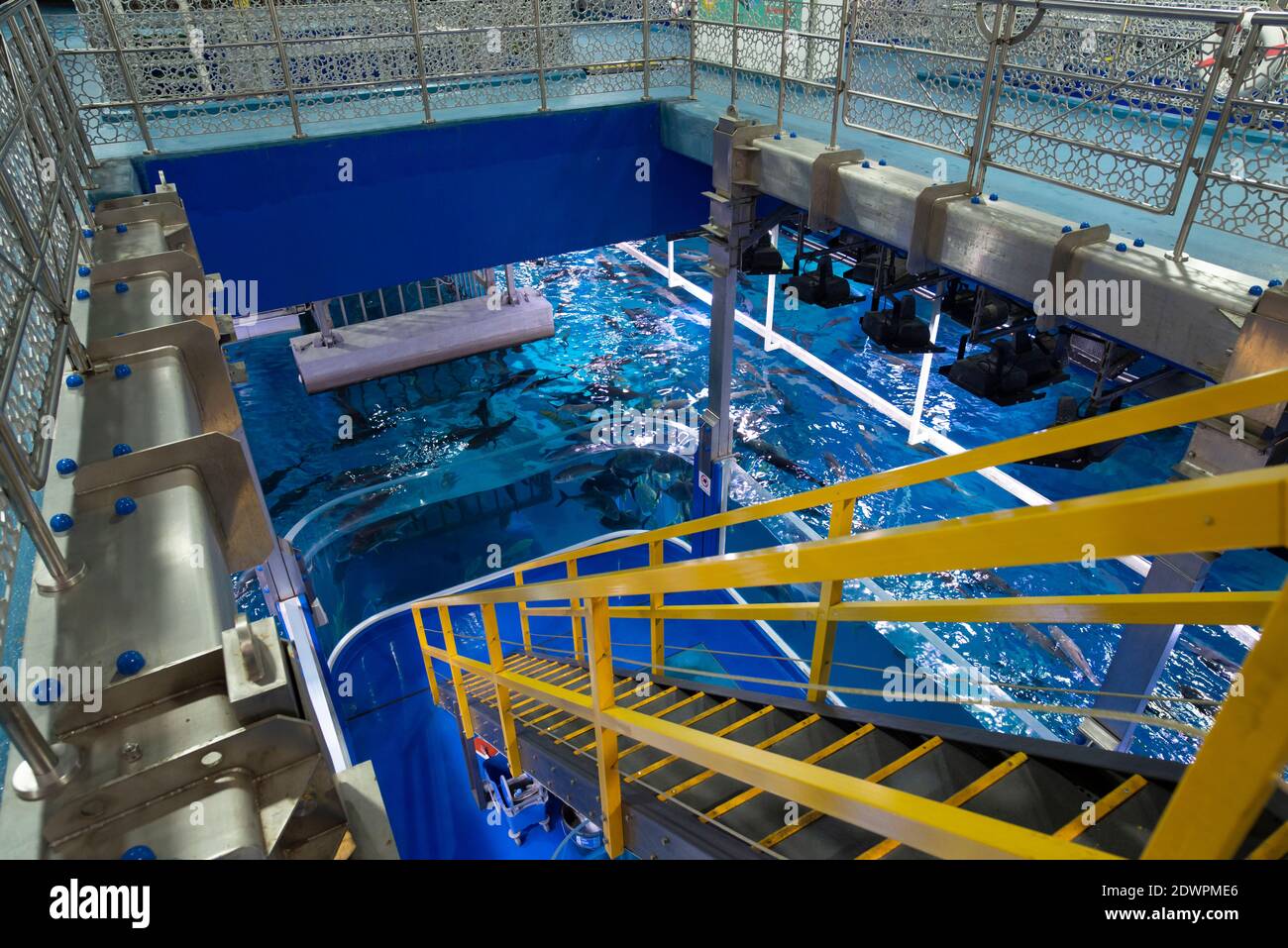 Stairs To Underwater Zoo in Dubai Aquarium Stock Photo - Alamy