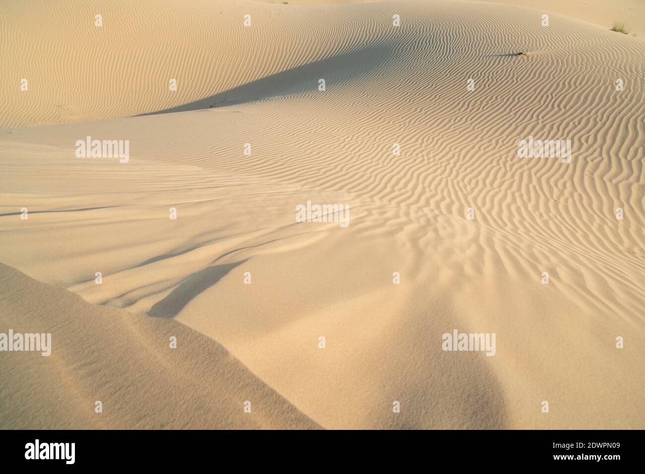 Arabian desert sand dunes. Abstract background Stock Photo - Alamy