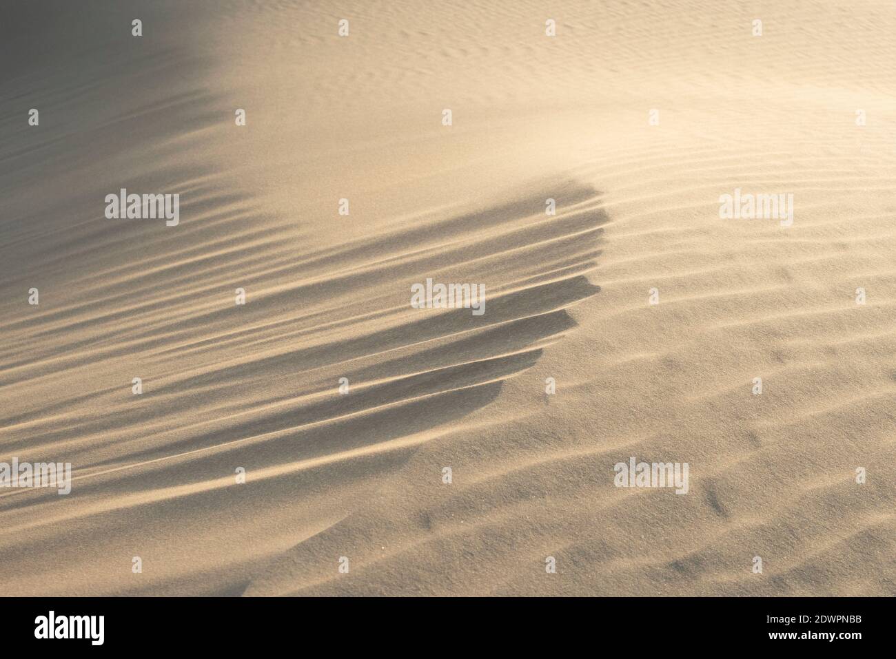 A sandstorm in the Arabian desert. Sand close up. Abstract background ...