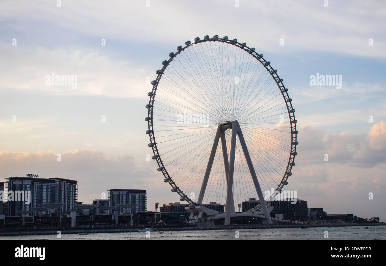 Tallest ferris wheel in the world Ain Dubai, located in Blue waters by ...
