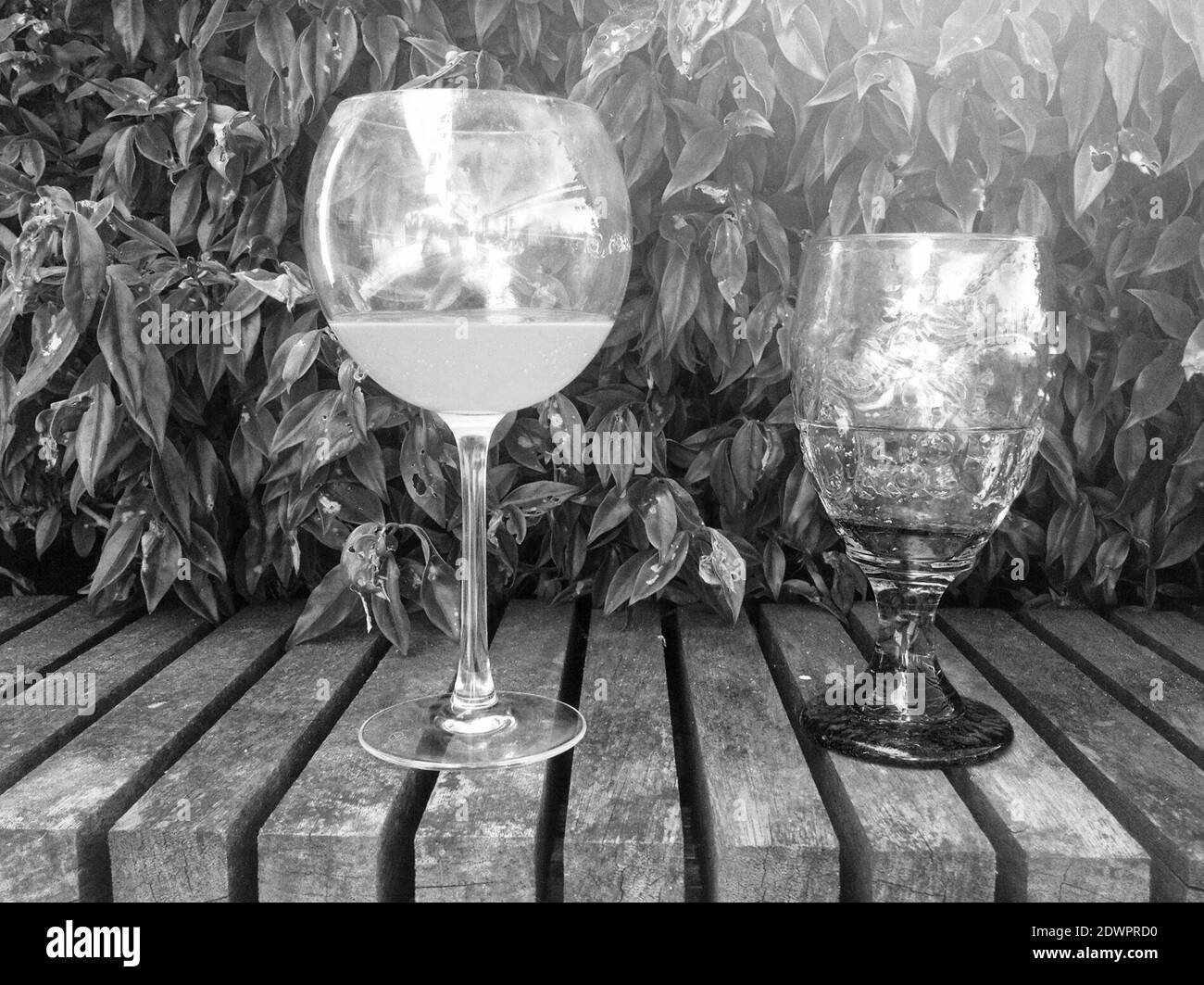 Alcohol drinking glasses Black and White Stock Photos & Images - Alamy