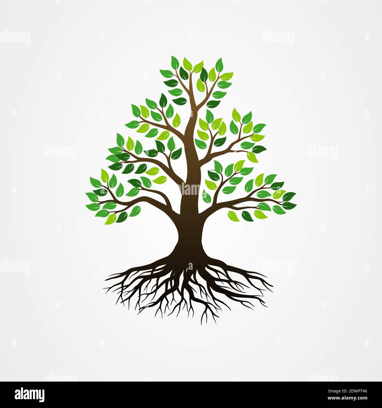 Tree root illustration hi-res stock photography and images - Alamy