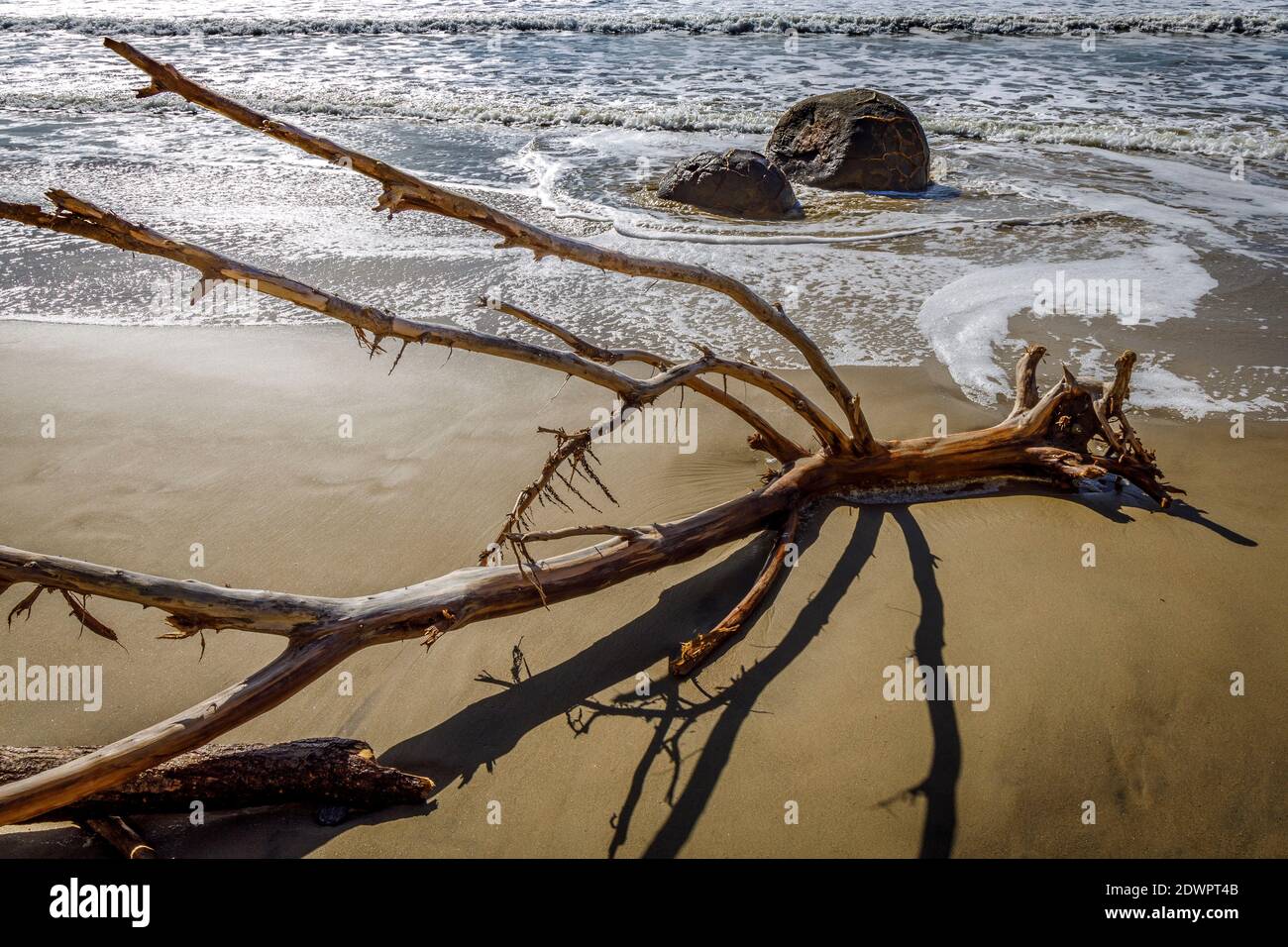 Geological calcite concretions known as the Moeraki Boulders, on ...