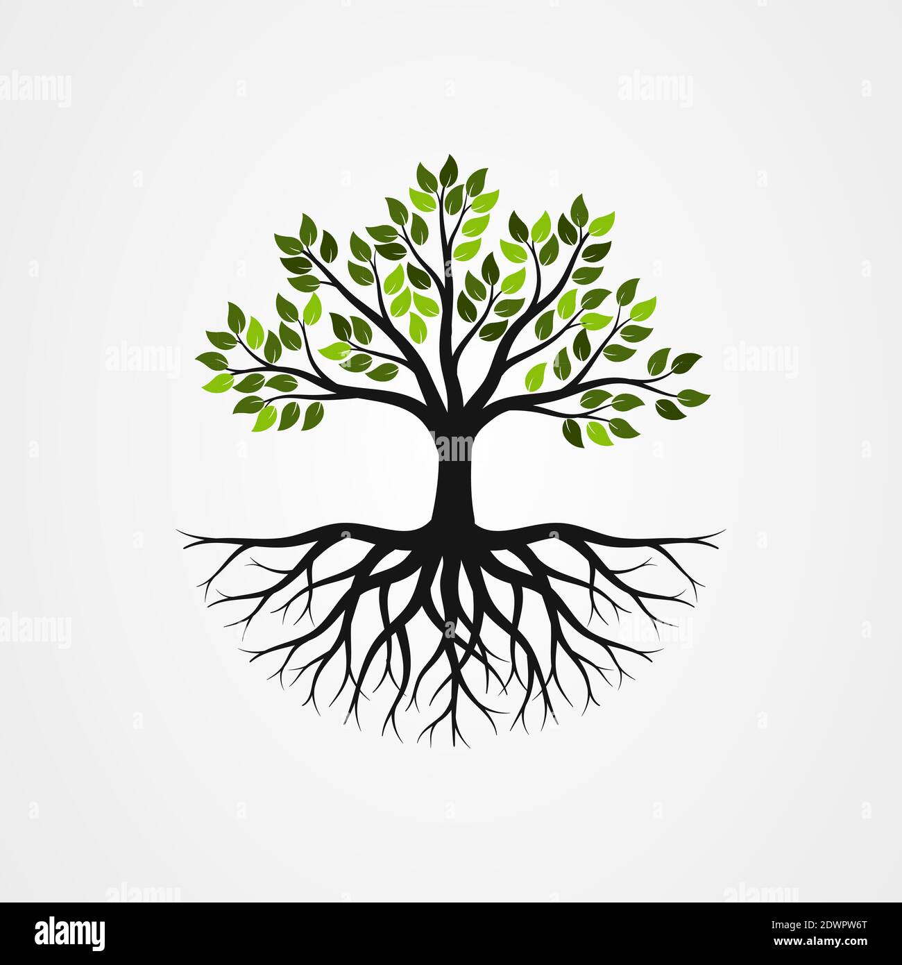 Mangrove roots Stock Vector Images - Alamy