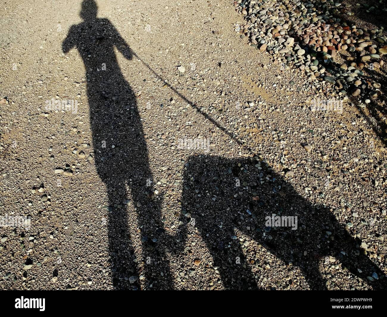 Long shadow of man and dog hi-res stock photography and images - Alamy