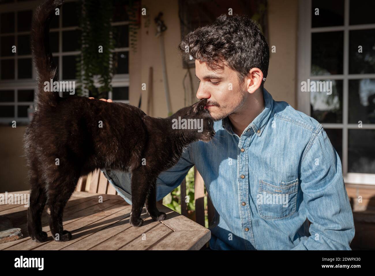 black cat approaches a young man with displays of affection. movement 1 ...