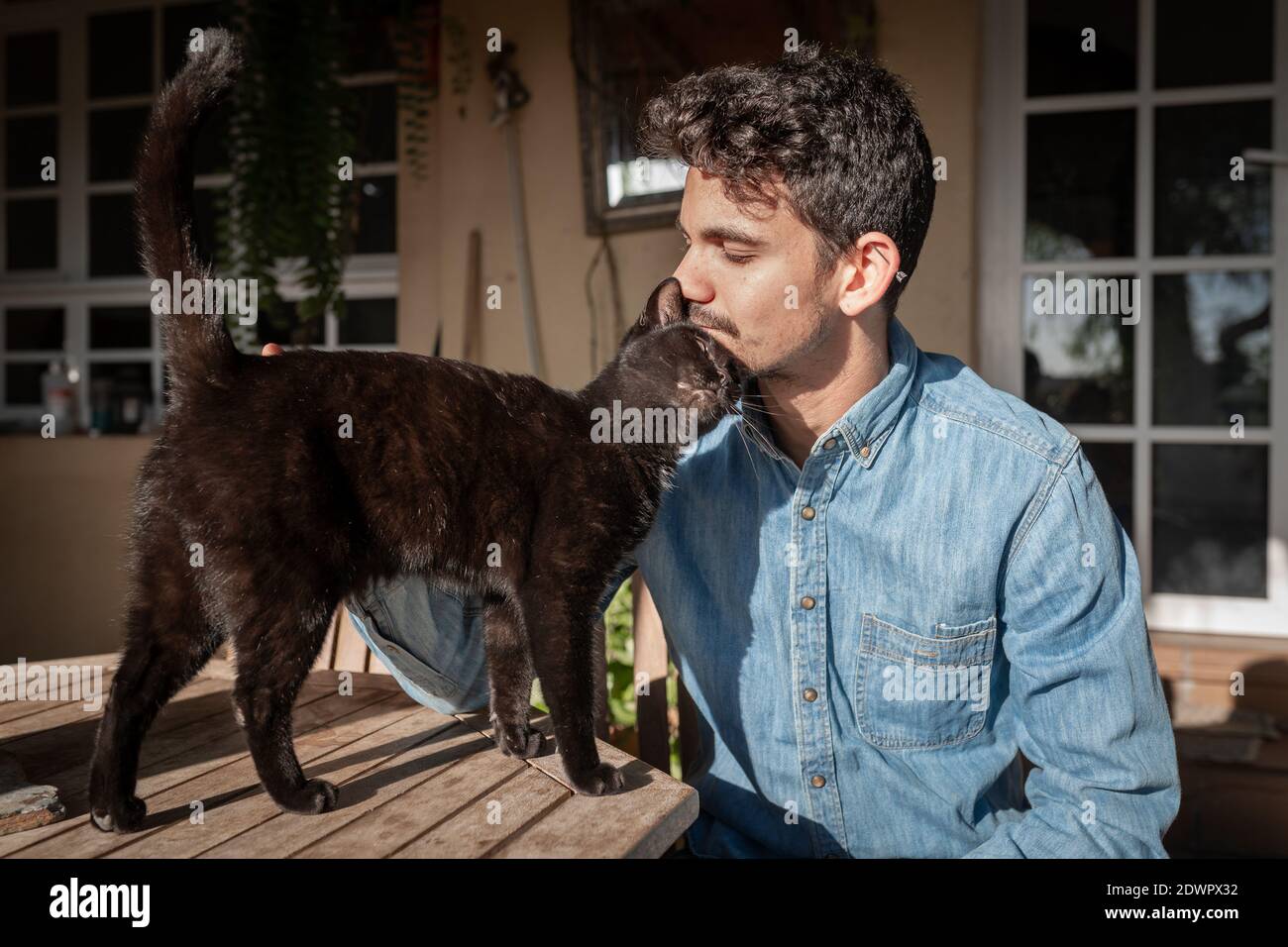 black cat approaches a young man with displays of affection. movement 1 ...