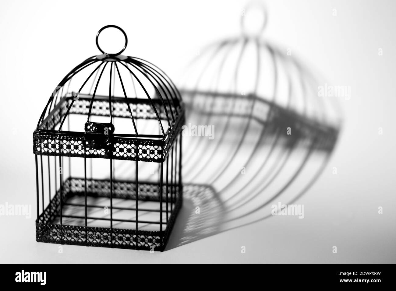 Birdcage feature hi-res stock photography and images - Alamy