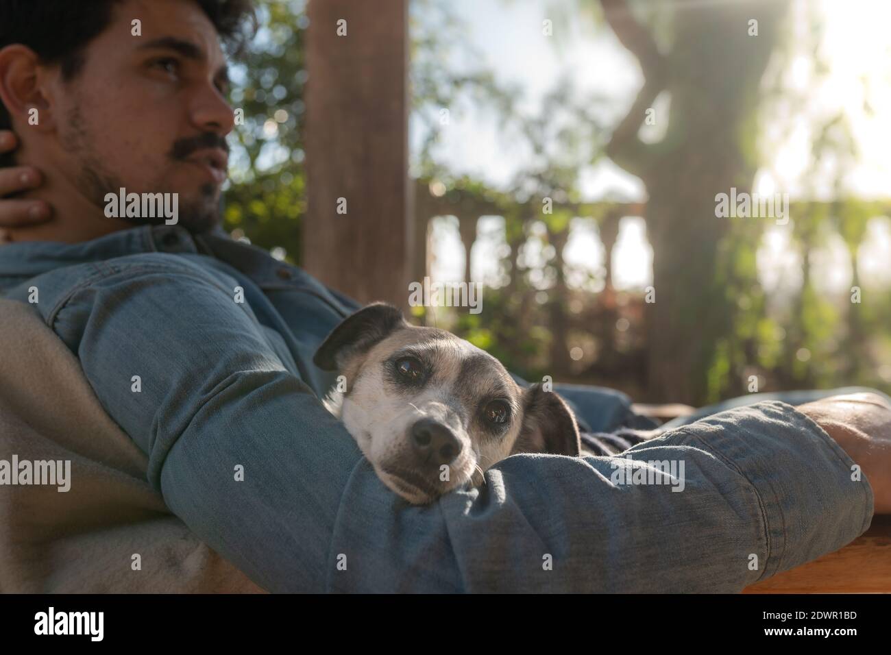 Dog arm rests hi-res stock photography and images - Alamy