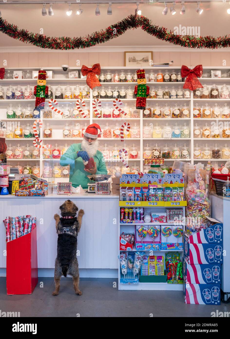 Jamie childs hi-res stock photography and images - Alamy